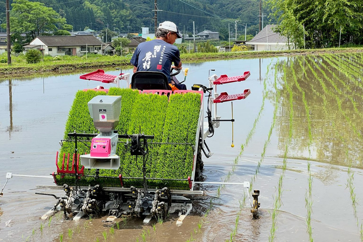 明るい農村の1年 | 明るい農村の蔵見学 | かめ壺焼酎の蔵 明るい農村